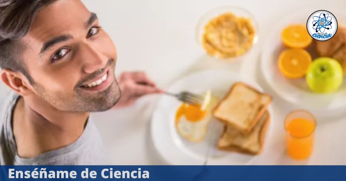 ¿Cuál es la hora correcta para desayunar, según la ciencia? - Enséñame ...