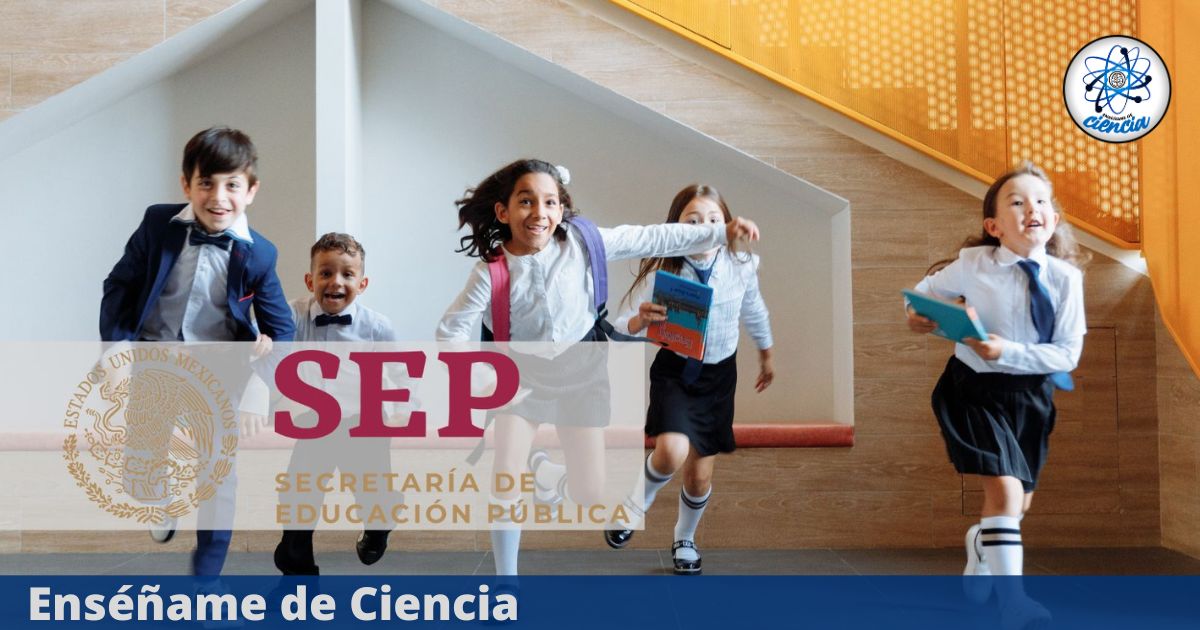 SEP confirma NUEVO PUENTE de tres días: Cuándo es y para quién aplica ...