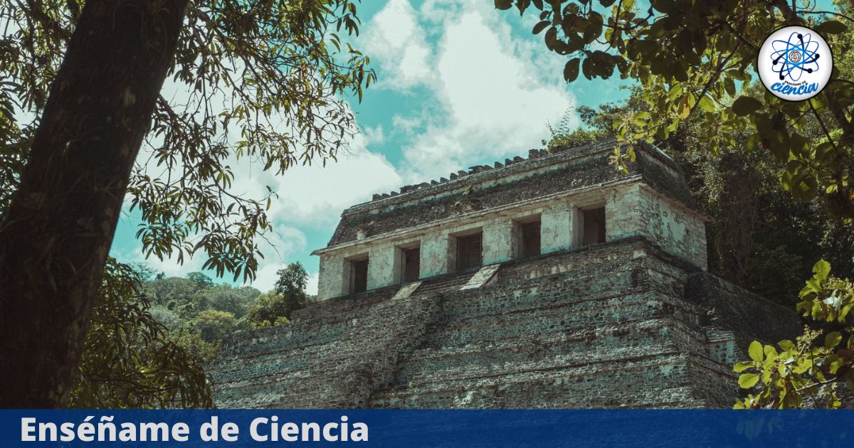 Por accidente, un estudiante descubre una enorme ciudad maya perdida en ...