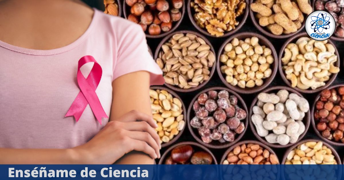 Cuál es el fruto seco que reduce el riesgo de padecer cáncer de mama ...
