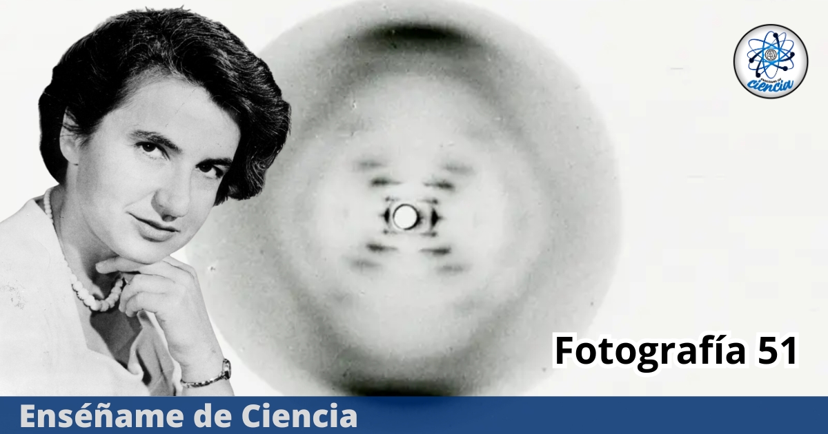 Rosalind Franklin y la Fotografía 51: La historia secreta detrás del ...