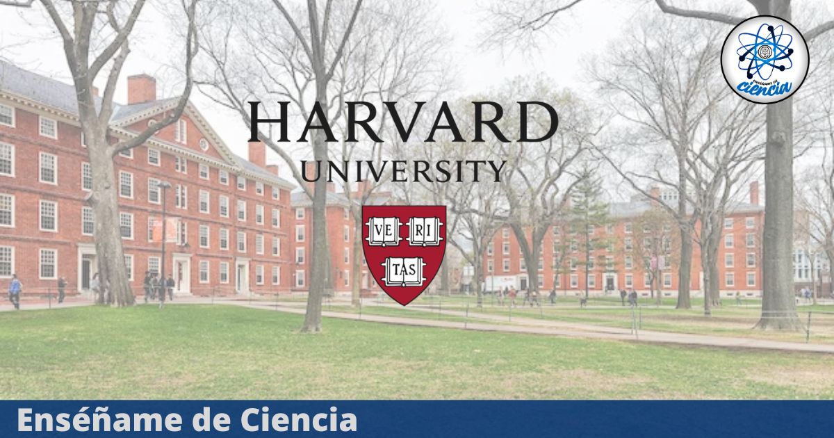 Esta es la cantidad de dinero que cuesta estudiar en la Universidad de ...