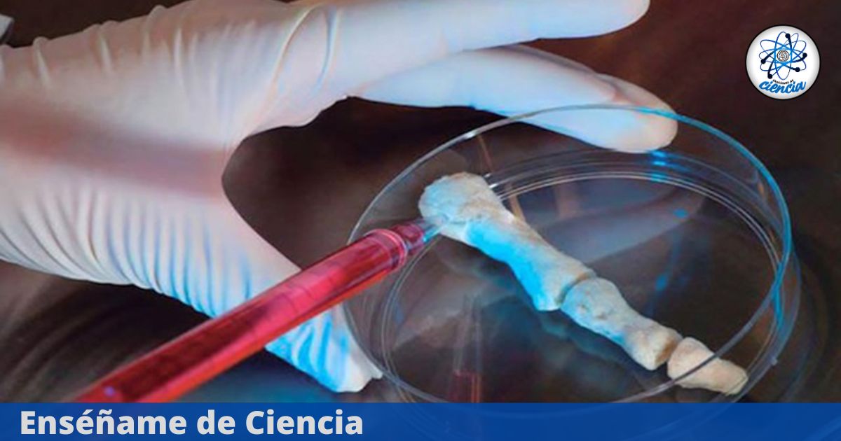 Científicos desarrollan el primer gel que es capaz de regenerar los ...