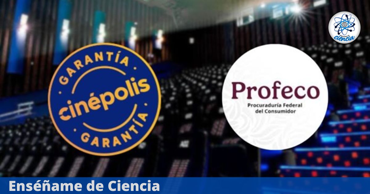 ‘Garantía Cinépolis': ¿Qué es? ¿Pueden darme un reembolso? Esto dice ...
