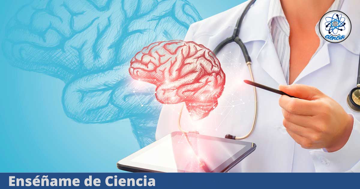 La regla de 2-7-30 que te ayudará a potenciar la memoria y recordar ...