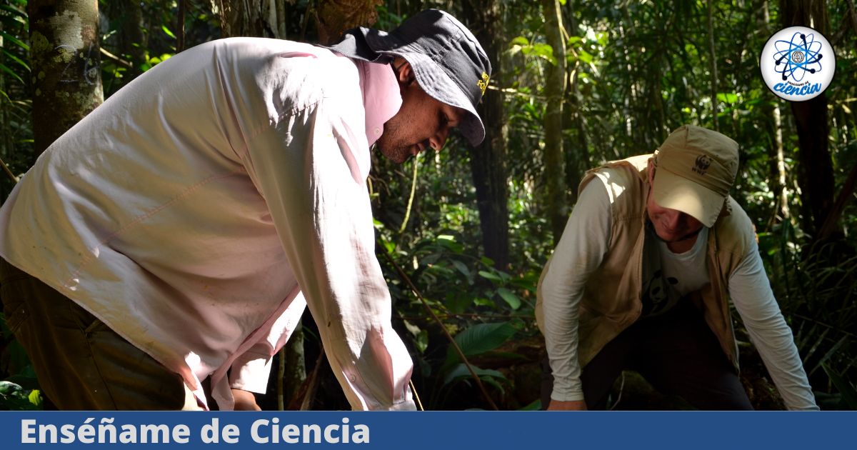 Científicos confirman reaparición de especie animal que se creía ...