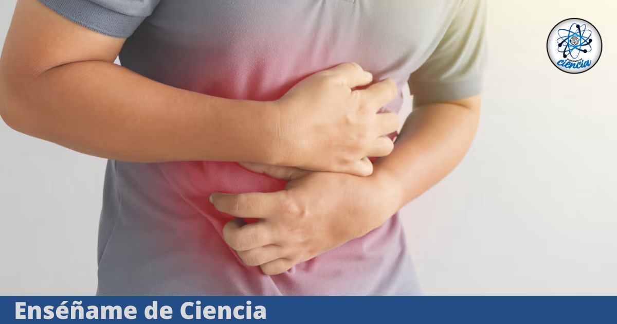 La planta que te ayudará a desinflamar el colon, según expertos de la ...