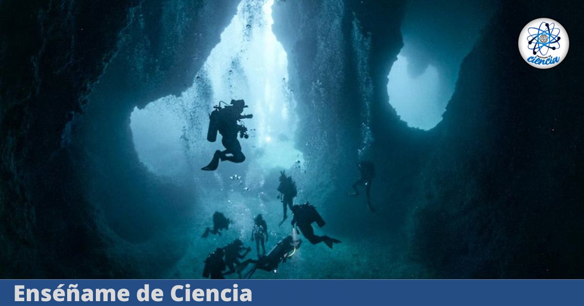 Investigaban una fosa oceánica a más de 8.000 metros y descubren una ...